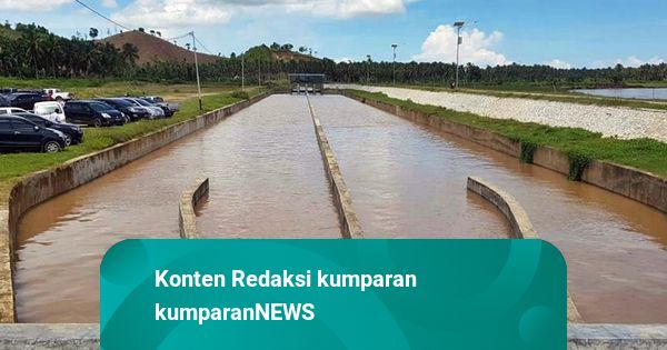 Begini Perkembangan Pembangunan 1 Juta Hektare Irigasi Jokowi ... Begini Perkembangan Pembangunan 1 Juta Hektare Irigasi Jokowi ...